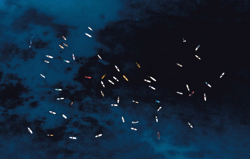 Surf Lineup by Josh Soskin